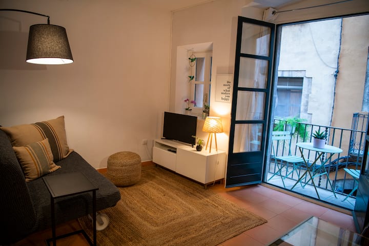 Apartamento Con Mucho Encanto En El "Barri Vell" - Girona