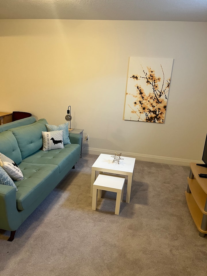 Large Basement Suite - Edmonton