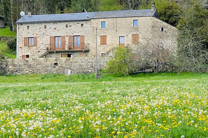 Ancienne Ferme Rénovée - La Salvetat-sur-Agout