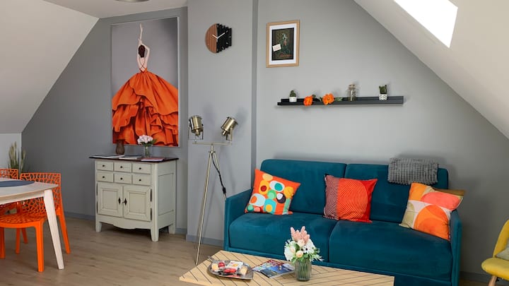 Superlogis Sous Les Toits - Hypercentre- 4 P - 3* - ibis budget Blois Centre