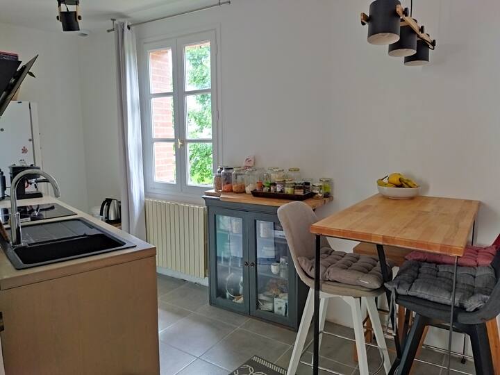 Petite Maison De Village En Face Du Parc - Rabastens