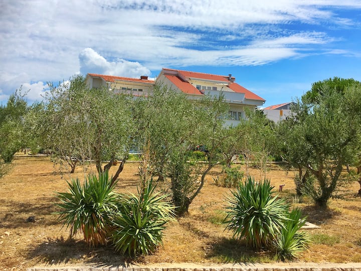 Apartments Helena For 7-9 Persons - Karlobag