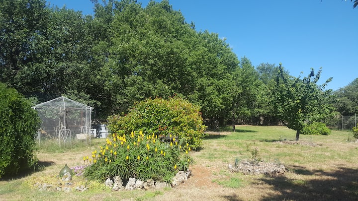 Studio Au Calme Avec Grand Jardin Et Piscine - Bédarieux