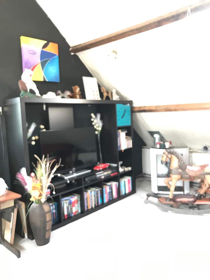 Mooi Landelijk Gelegen Appartement - Middelharnis