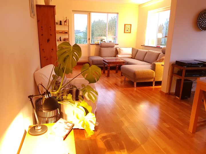 Family Friendly Environment - Reikiavik