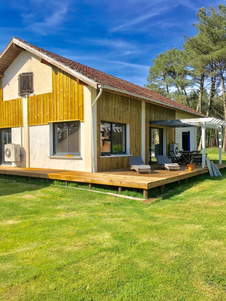 L'airial De Thoumazic Niché Dans La Foret Landaise - Moliets-et-Maa