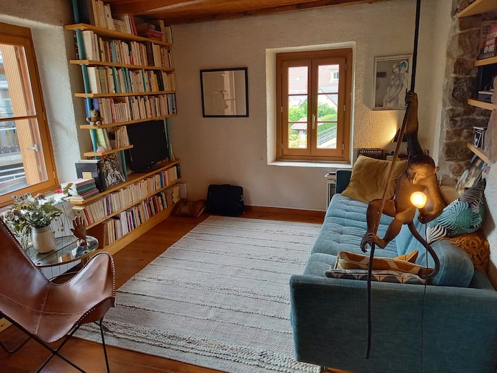 Maison Chaleureuse à Talloires - Talloires-Montmin