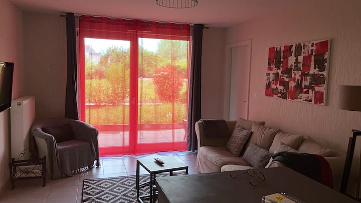 Appartement-rez De Jardin, Parking Privé Et Tram - Bischheim