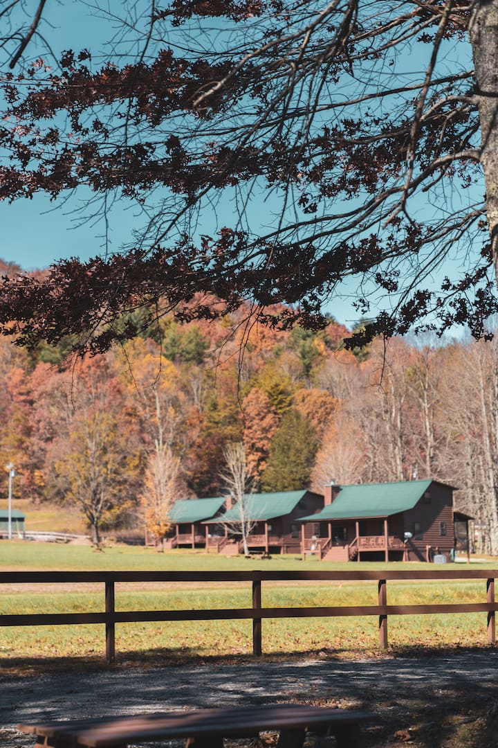 Cabin - Bearcat In The Mountains - Suches, GA