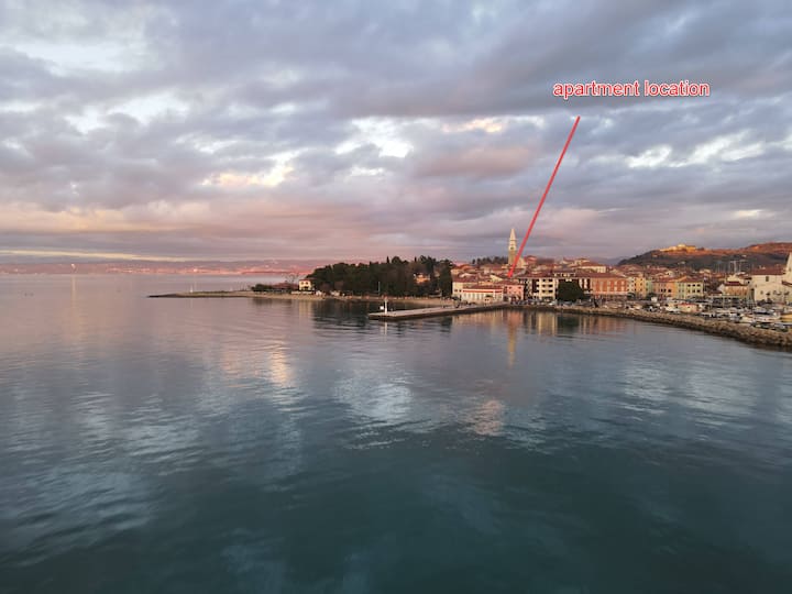 Riba Apartment - Izola