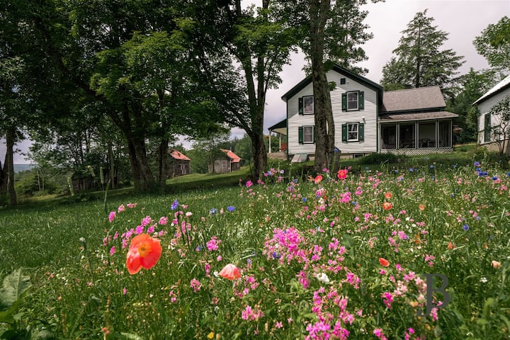 Modern Scandi Farmhouse: Sauna, Trails, Pond +90ac - Livingston Manor, NY
