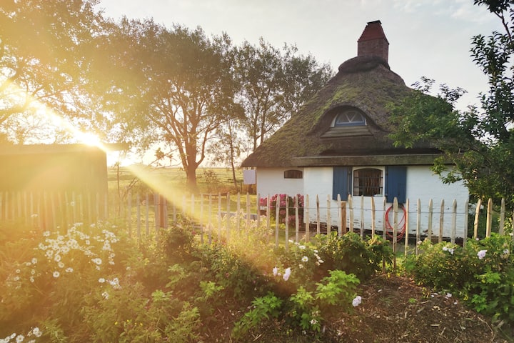 Uriges Häuschen Unter Reet - Direkt Hinterm Deich - Westerhever