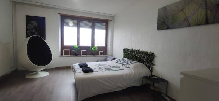 Appartement Entier Centre Ville - Forbach