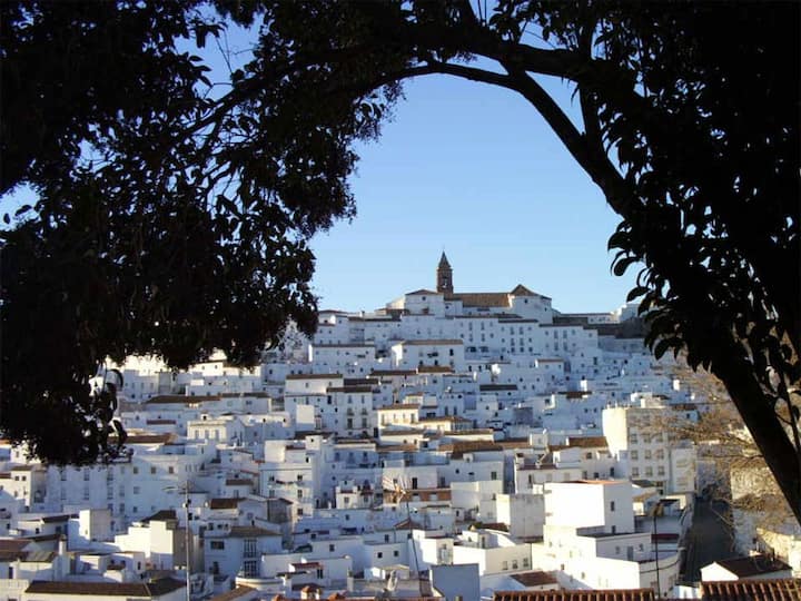 El Rincón Del Marqués - Benalup-Casas Viejas