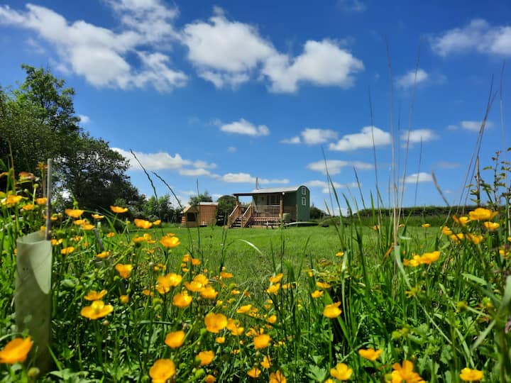 Shepherds Hut Unique Glamping @Honeymeadowretreat - North Devon District