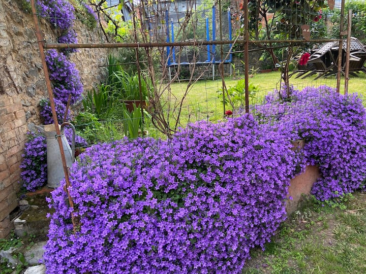 Gite Fresnay Avec Jardin - Fresnay-sur-Sarthe