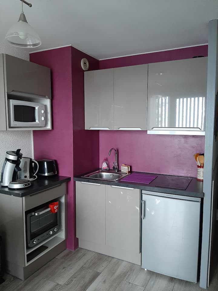 Appartement 1 Chambre Accès Aux Pistes (Réf 27) - Les Deux Alpes, France