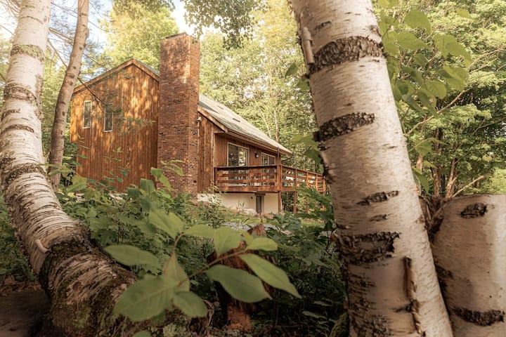 Windham Catskills Cabin: Close Hikes, Lakes, Town - Windham, NY