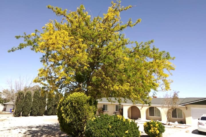 New Listing! Entire Home / Outdoor Enthusiast - Apple Valley, CA