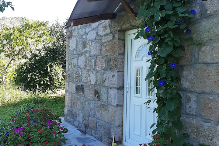 Municipality of Rankovce Vacation Rentals & Homes - North Macedonia ...