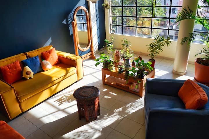 Roma Sur, Amplio E Iluminado Departamento - Mexico City