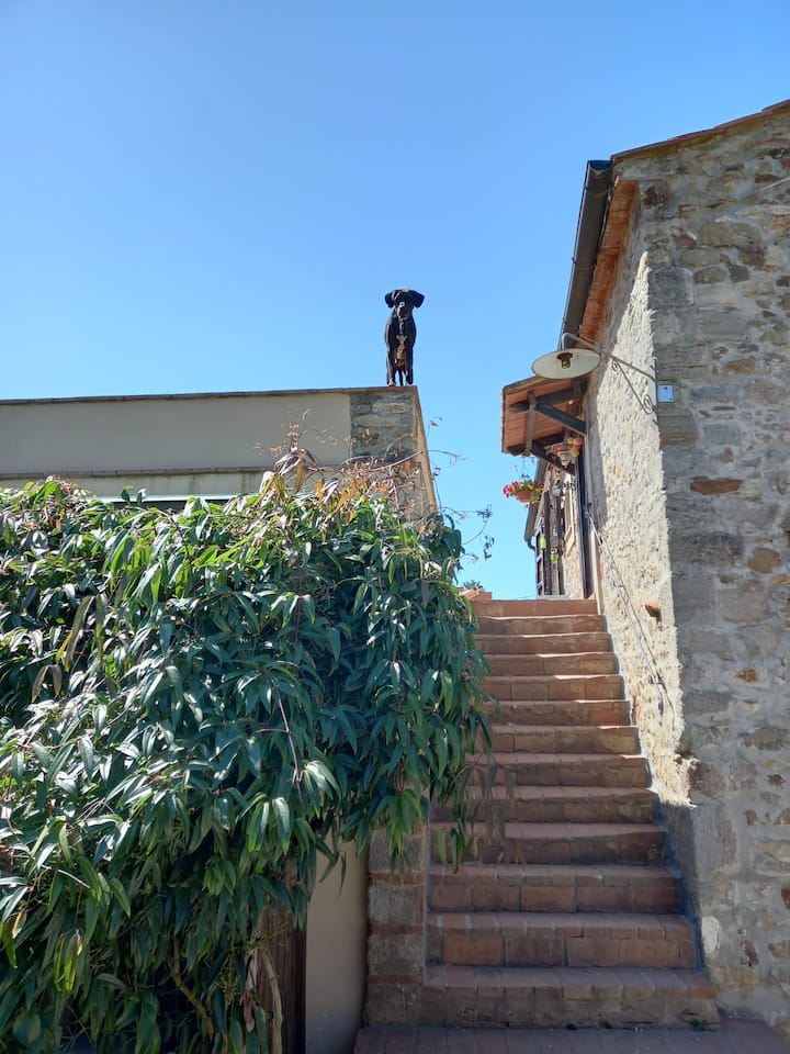 B&b Vegano  Ma Che Accoglie Tutti. Pet Friendly - Castagneto Carducci