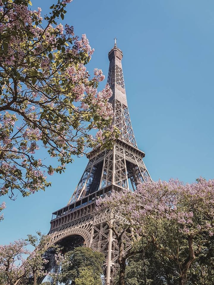 Paris Studio Near Eiffel Tower - Paris