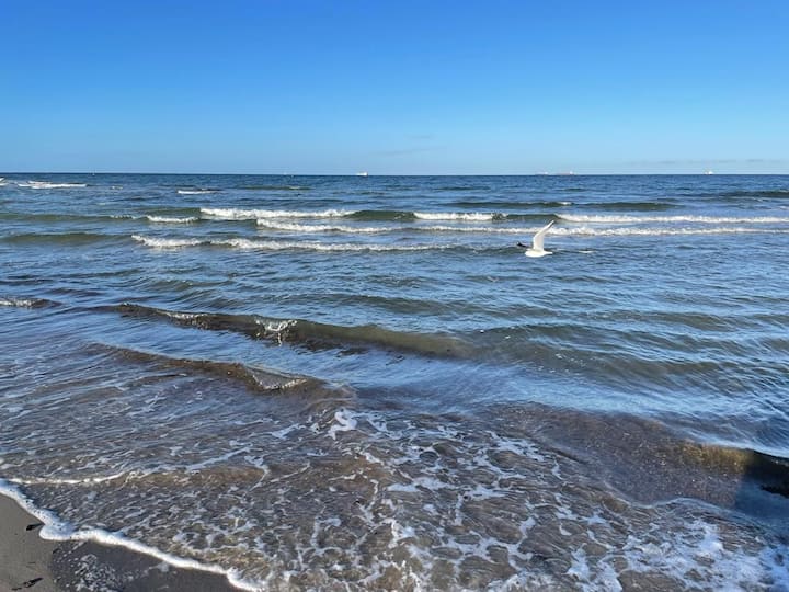 Wohlfühlzeit Am Kurpark, Seebad Warnemünde - Rostock