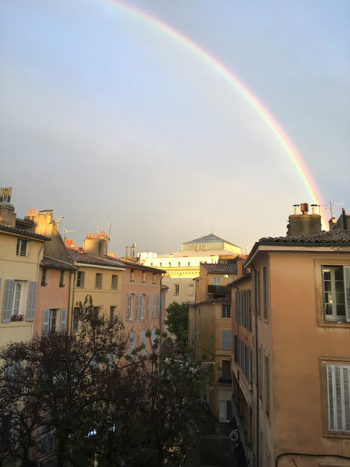 Au Coeur D’aix Spacieux Appartement Climatisé - Aix-en-Provence