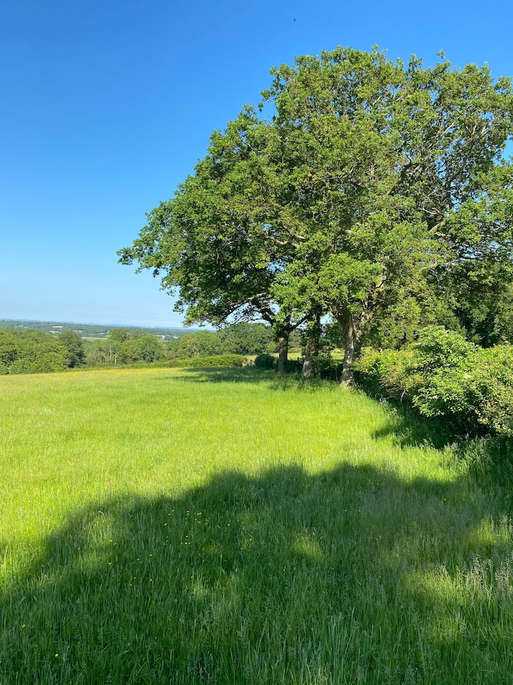 Leigh Green Camping, Tenterden Kent - Kent