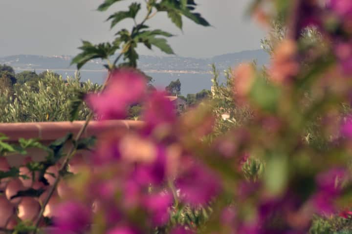 Petit Mas Au Paradis Avec Piscine Pour 6 Personnes - La Londe-les-Maures