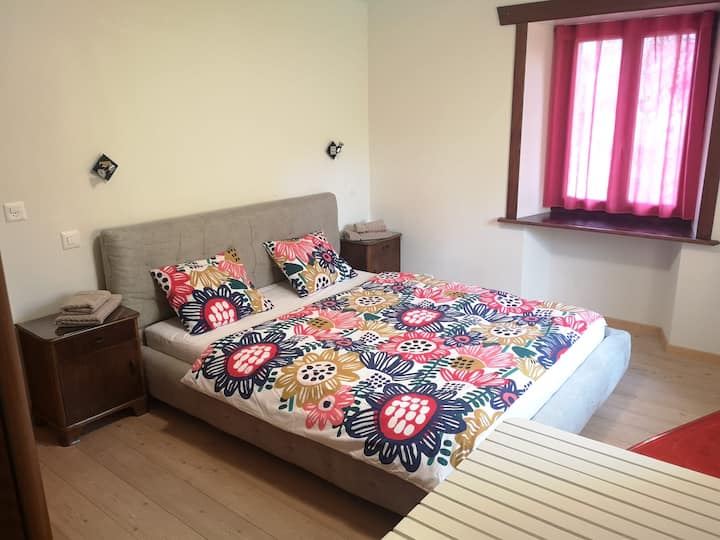 Peonja, Chambre Avec Vue Sur La Montagne - Bellinzona