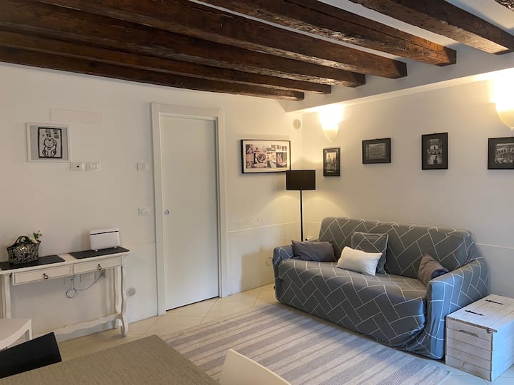 Black & White Home: An Oasis In The City Center - Venice
