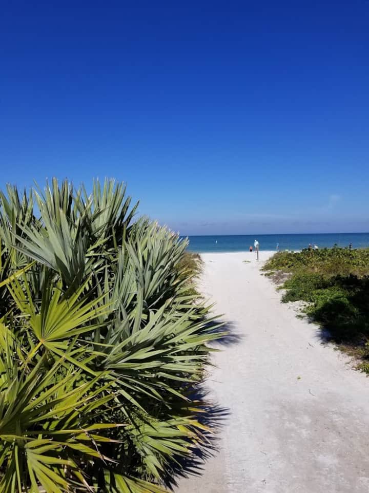 Renovated Honu Beach House-short Walk To Sand! - Indian Rocks Beach, FL