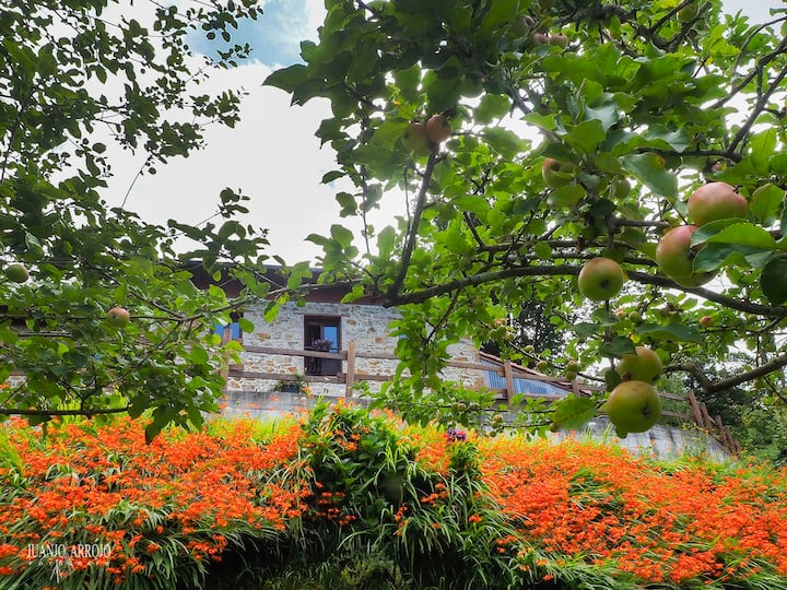 Casa Rural De Aldea Ubicada En Plena Naturaleza - Oviedo