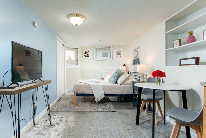 Longwood/fenway Basement Studio - Hyde Park - Boston