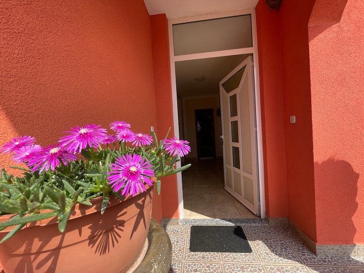 Apartman "Pavao" - Zadar