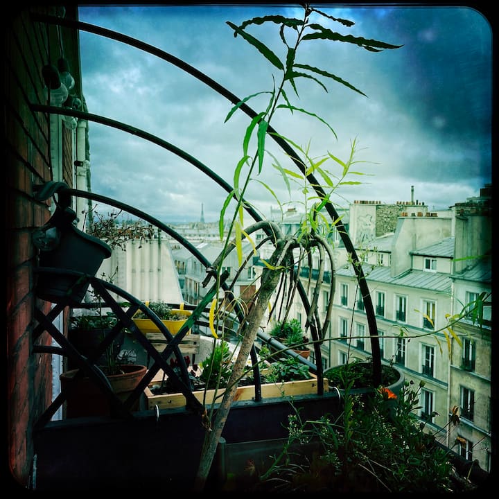 Goncourt Room Paris View - Paris