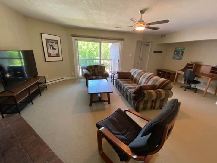 Condo - 4 Season Resort Community Horseshoe Valley - Horseshoe Valley, ON