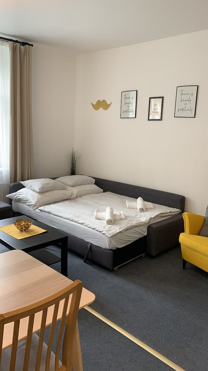 Little Tom Apartment 01 - Praga