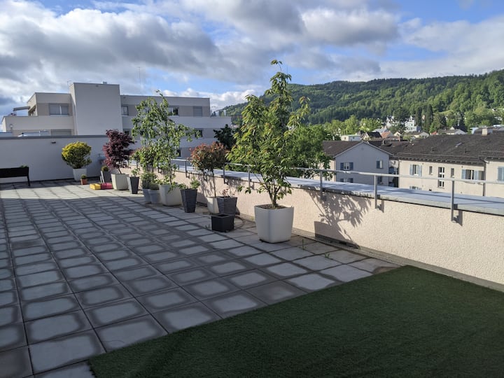 Modern Spacious 2-bedrooms/2-bathrooms Apartment. - Canton of Zürich