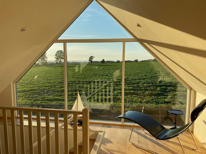 Bjäres Bästa Utsikt Hav Och Fält - Båstad