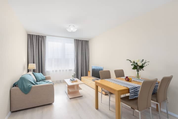 Evro-dvuhkomnatnaya Kvartira U Moskovskogo Vokzala Apartments - San Petersburgo