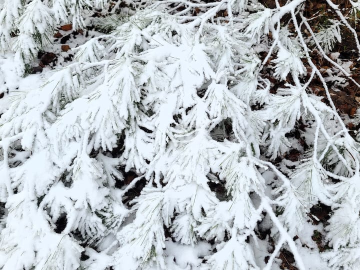 Retreat At Blue With Private Hot Tub - Collingwood