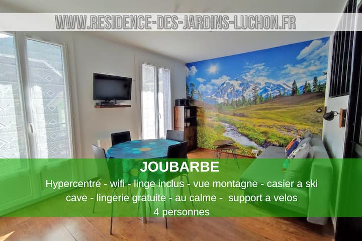 Joubarbe - T2 - Vue Montagne - Hyper Centre - Wifi - Bagnères-de-Luchon
