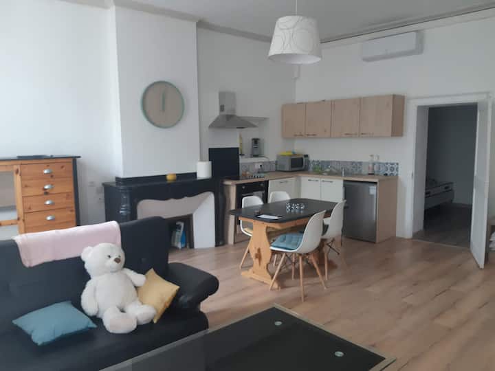 Albi, Appartement Plein Centre Ville - Albi