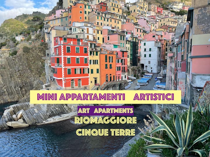 Art Apartment In Cinque Terre "Vergine" - Manarola