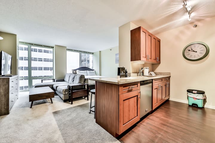 Outstanding Studio In Luxury Building In The Loop - Chicago, IL
