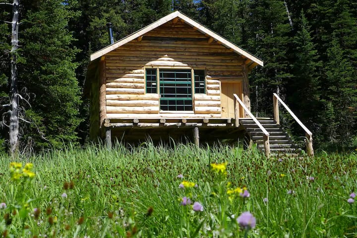 The Woody Creek Cabin - Cooke City-Silver Gate, MT