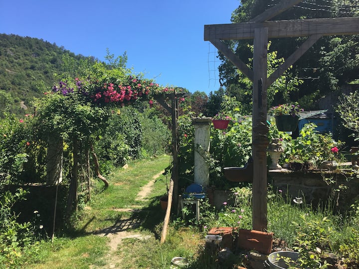 Un Bel Appartement Pour Profiter De La Nature - Puy-de-Dôme